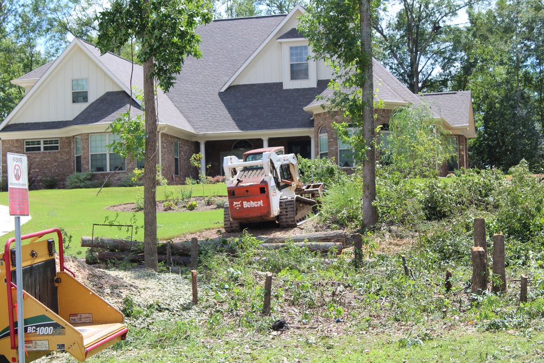 Premier Grading & Tree Removal – Tree care professionals and Grading ...